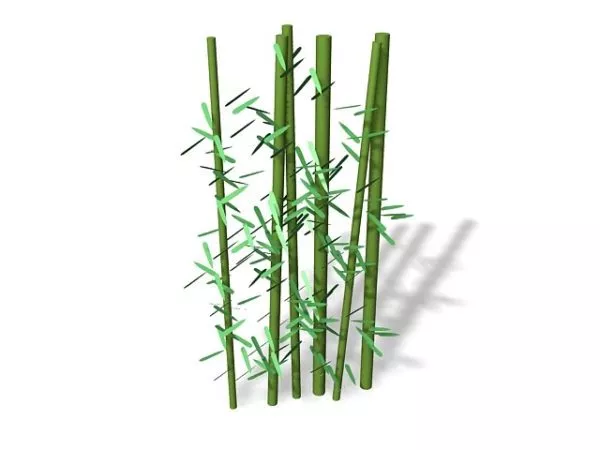 Bamboo Plants Free 3d Model Max Open3dmodel 40111