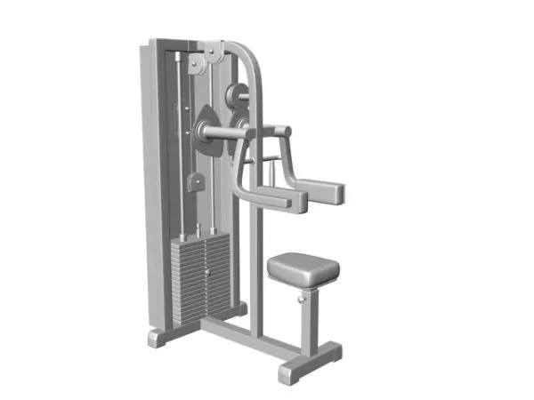 Gym Machine Fly With Seated Chest Free 3d Model 3ds Open3dmodel