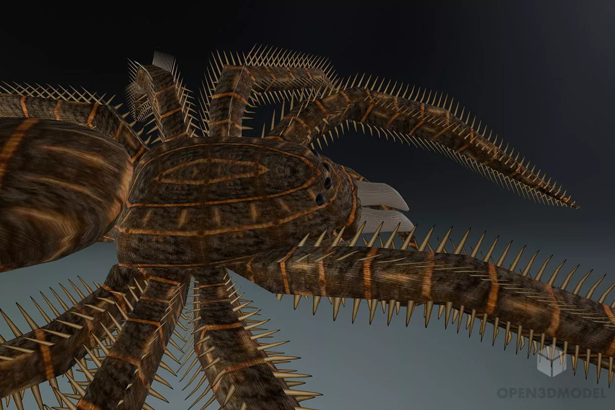 Lowpoly Spider Free 3d Model - .Blend, .C4d, .Dae, .Fbx, .Max - Open3dModel Lowpoly Spider Free 3d Model - .Blend, .C4d, .Dae, .Fbx, .Max - Open3dModel